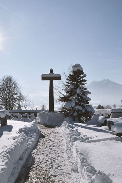 Kryonik: Alles zum Einfrieren von Menschen